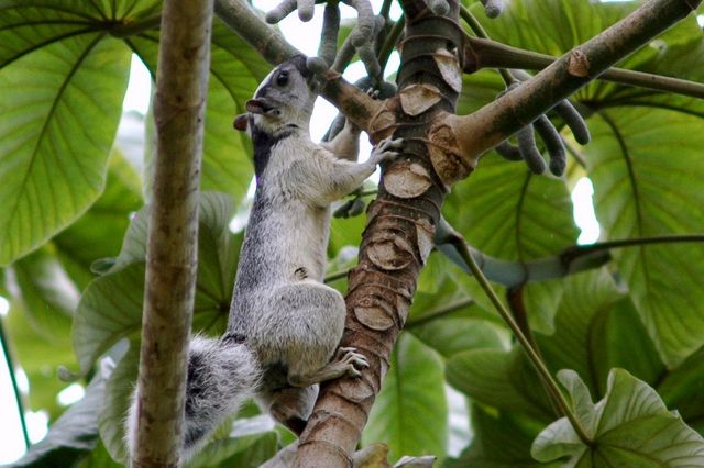 Titoku Hot Springs - Arenal Costa Rica